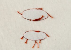 Surface Satin Stitch : Library of Embroidery Stitches