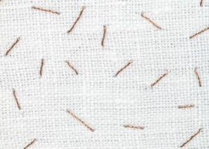 Seed stitch: Library of Embroidery Stitches